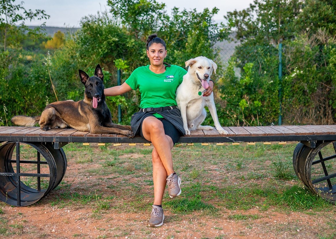 Dog trainer camp store